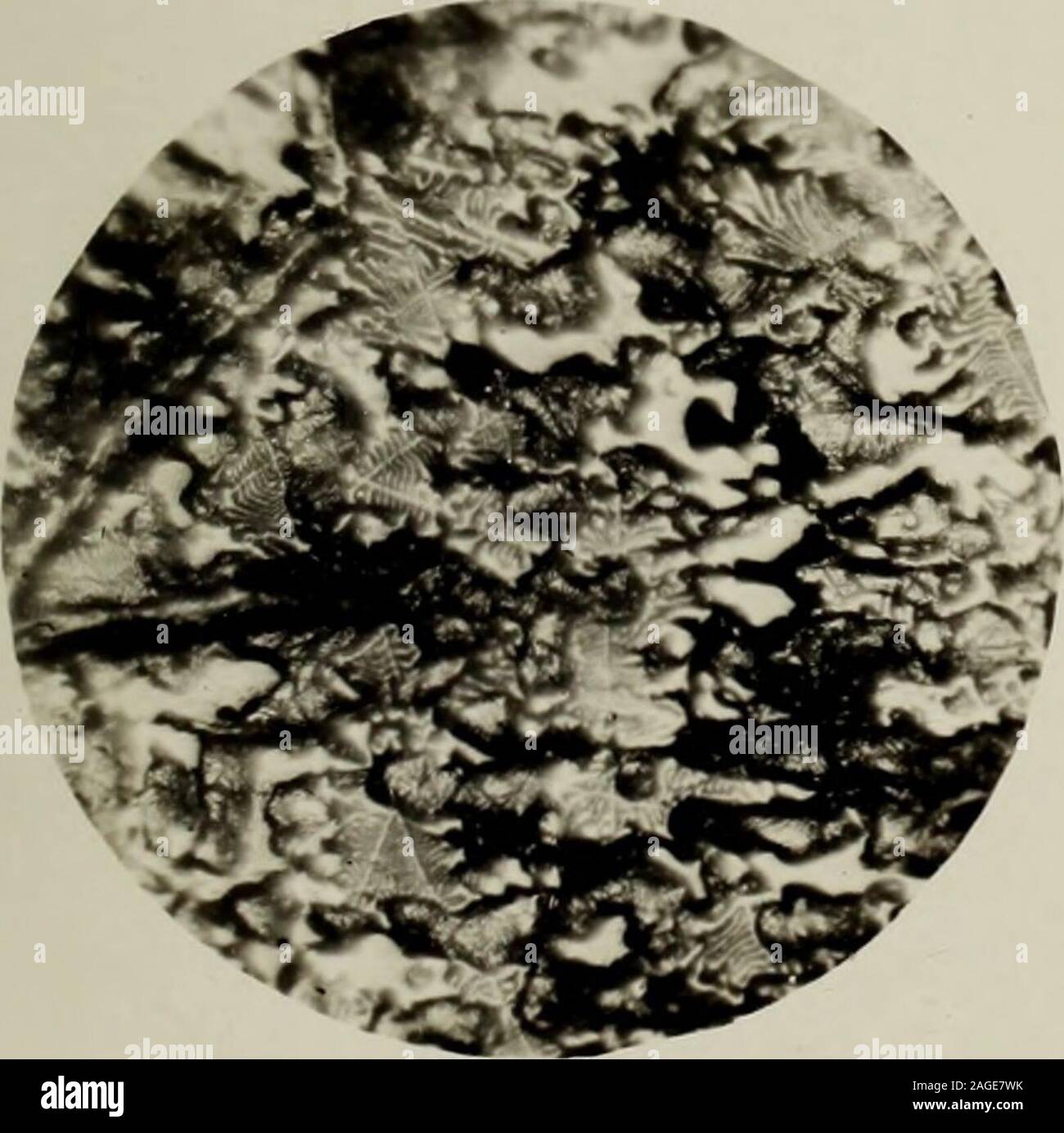 Principle of diffusion hi-res stock photography and images - Alamy