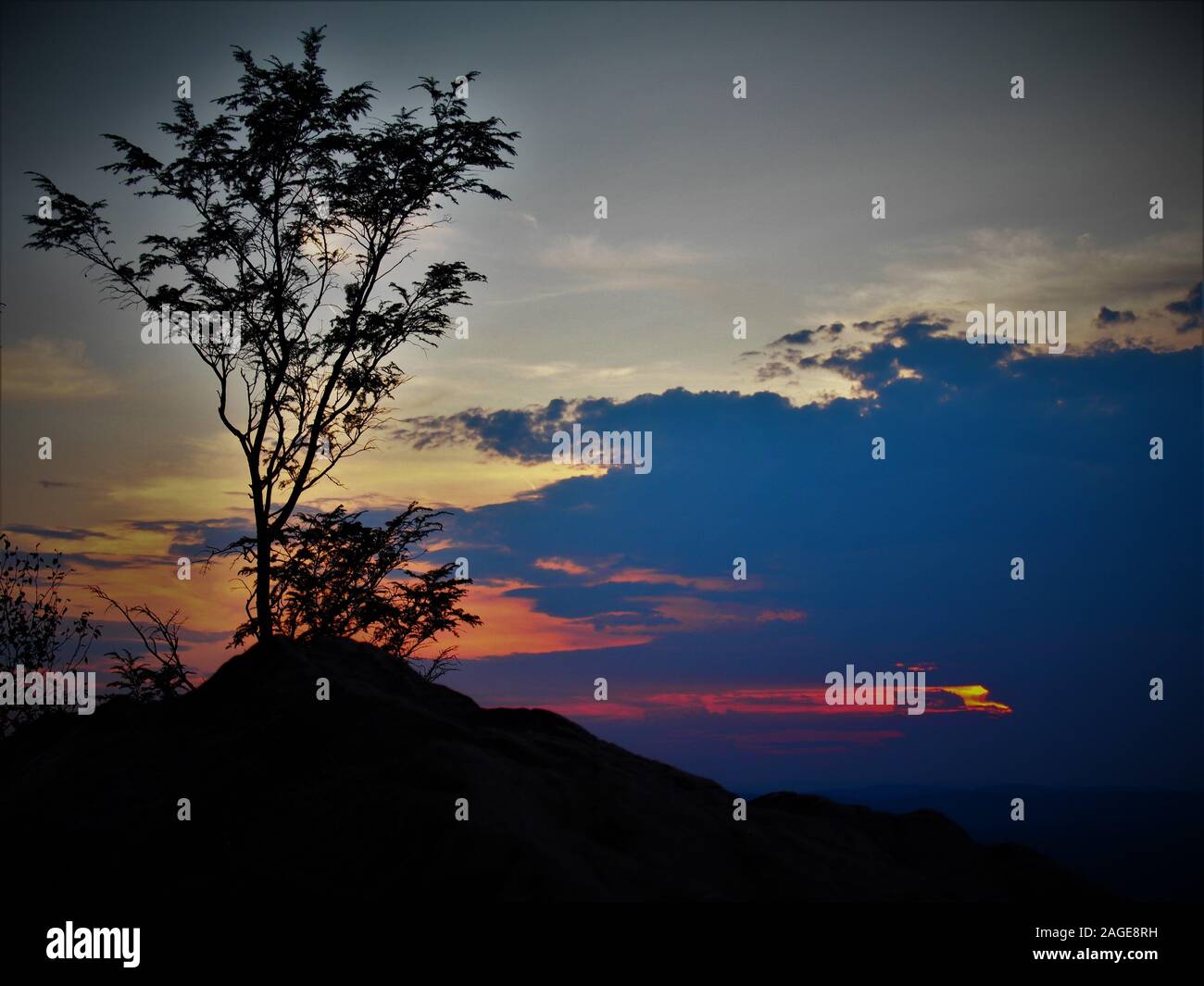 Mountain tree vista Stock Photo - Alamy