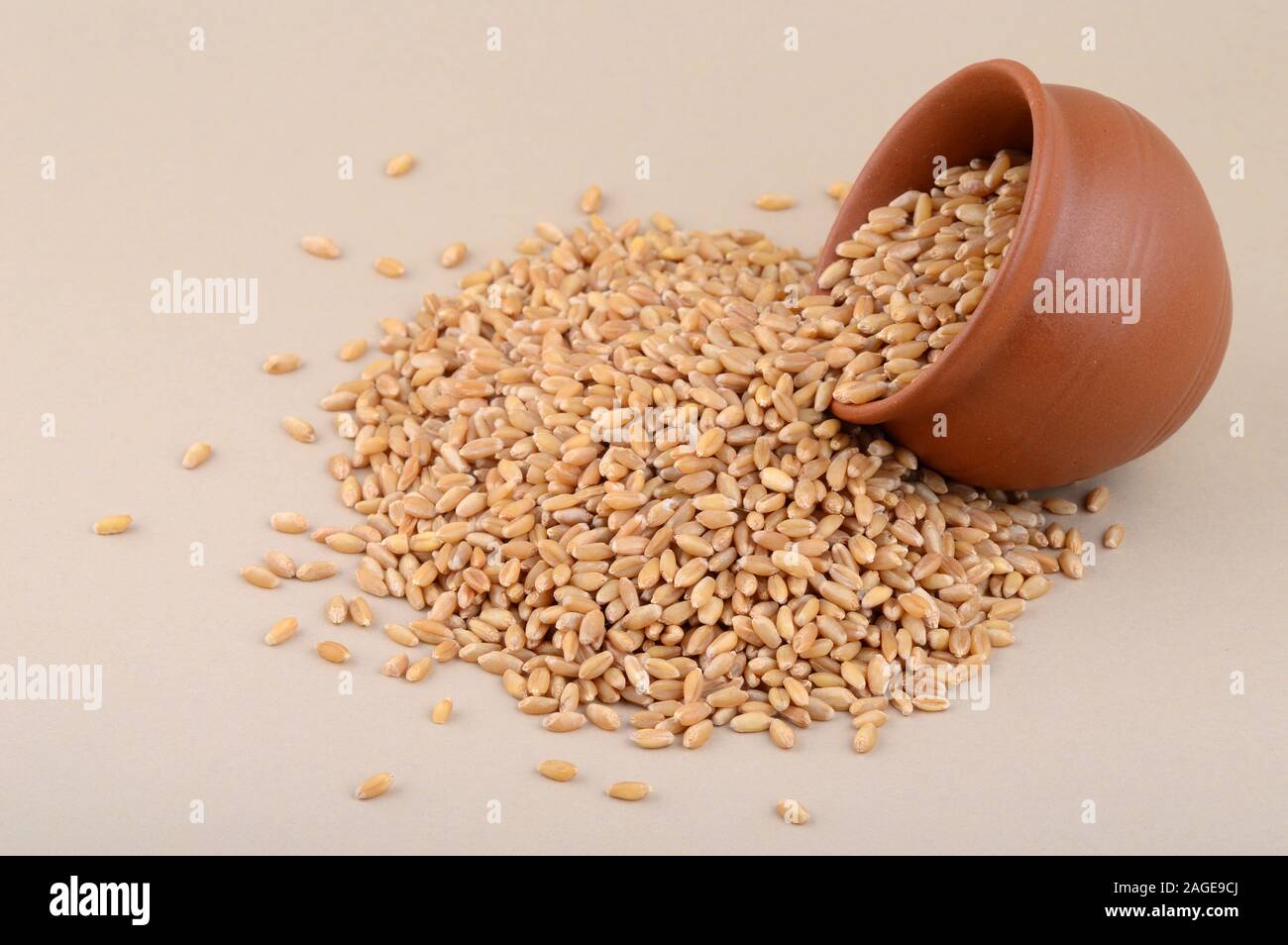 Wheat grains in clay pot on cream background. Close up Stock Photo - Alamy