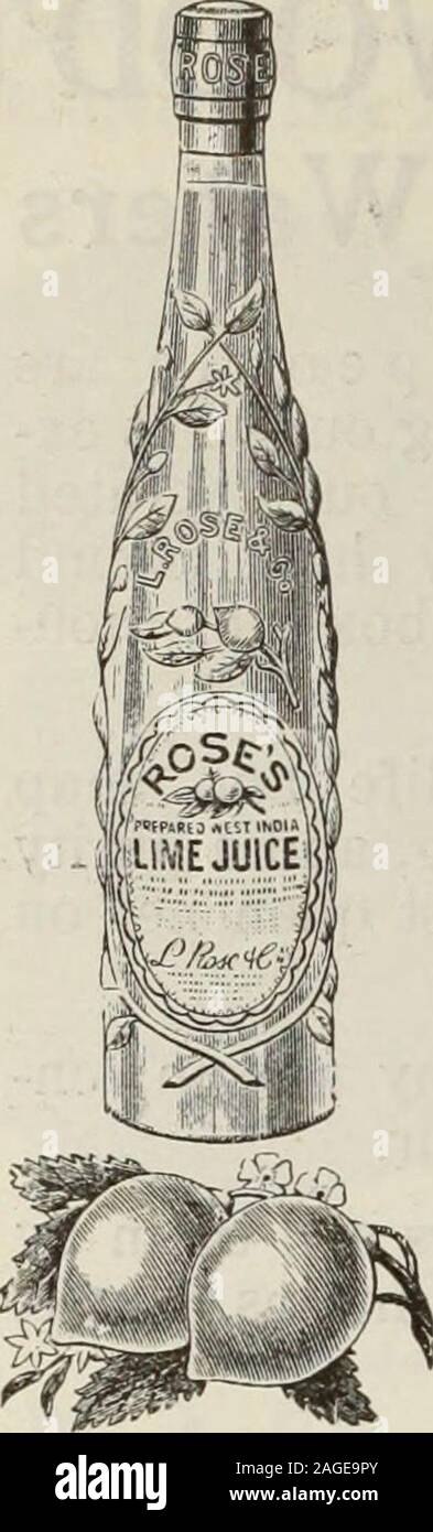 John lattimer hi-res stock photography and images - Alamy