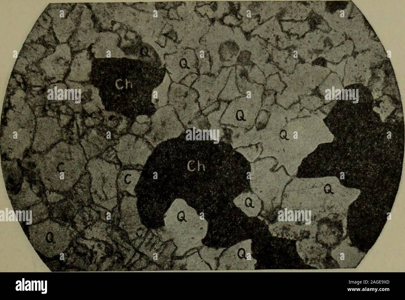 Silicified limestone hi-res stock photography and images - Alamy