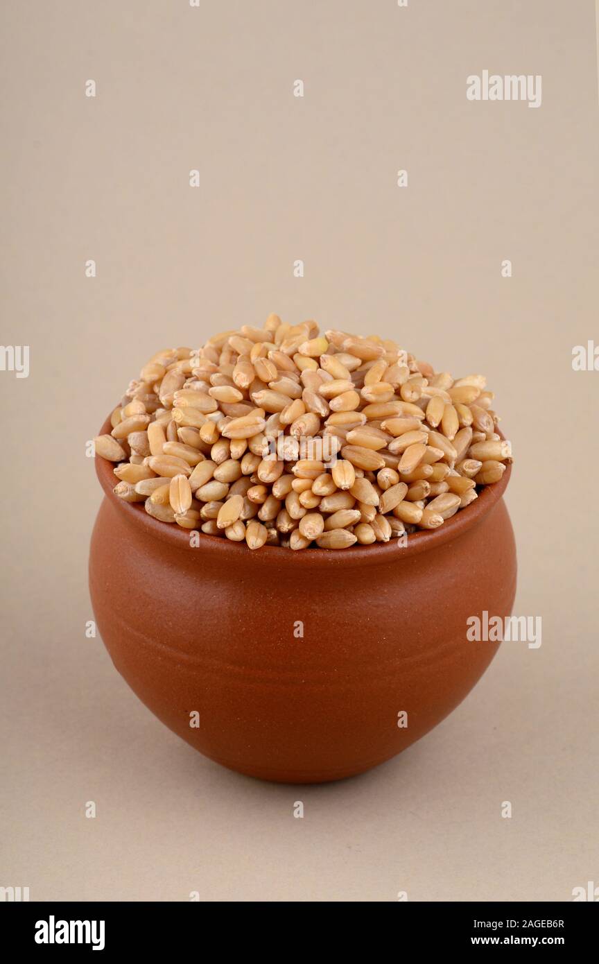 Wheat grains in clay pot on cream background. Close up Stock Photo - Alamy