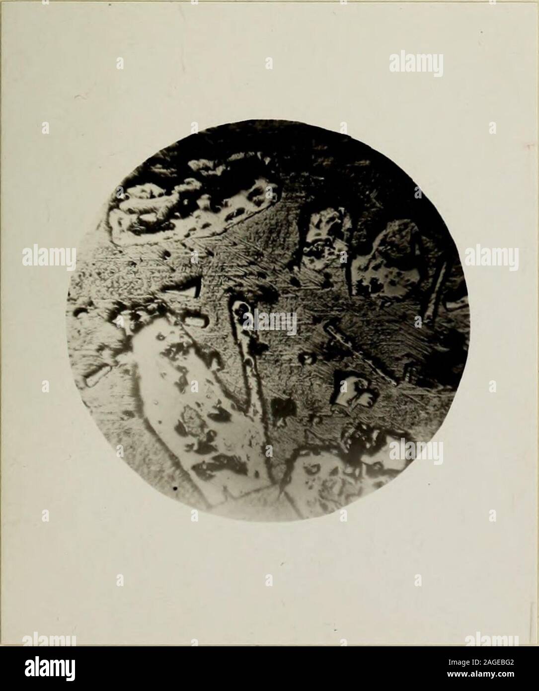 Tungsten compounds hi-res stock photography and images - Alamy