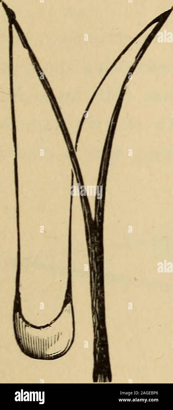 Ramrod cannon hi-res stock photography and images - Alamy