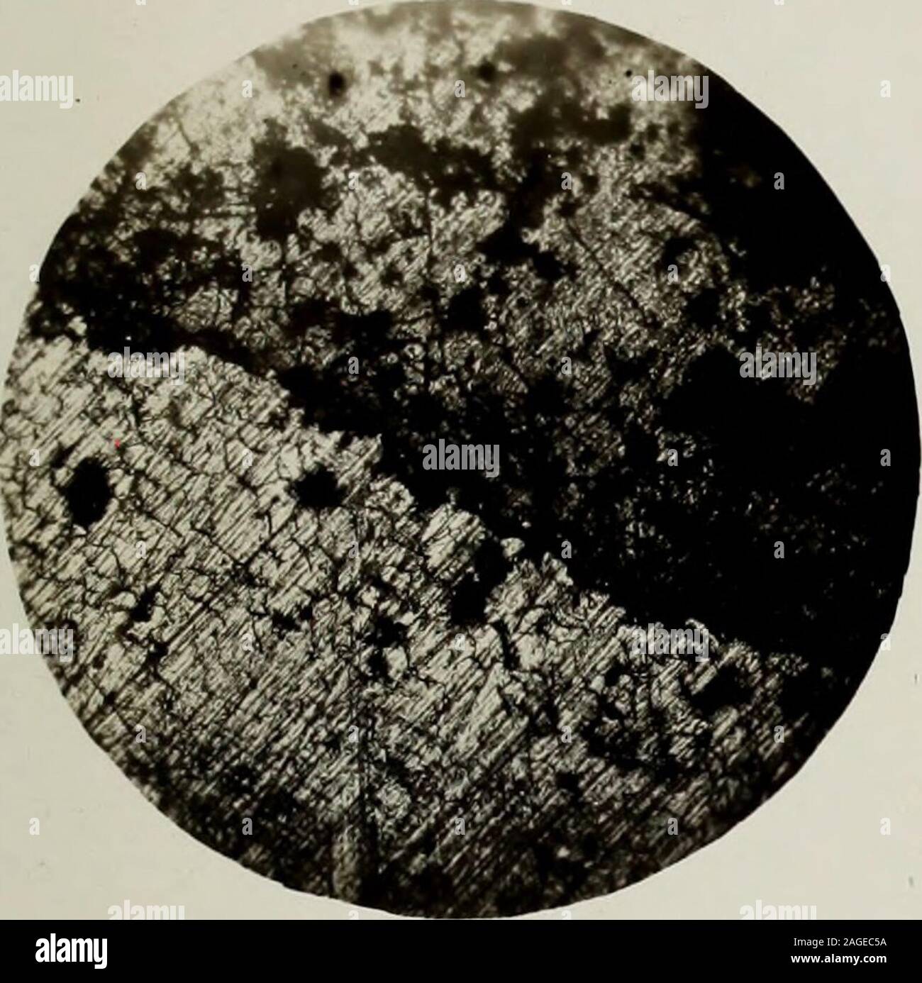 . Alloys of tungsten by diffusion. mercial quality and were pro- has ...