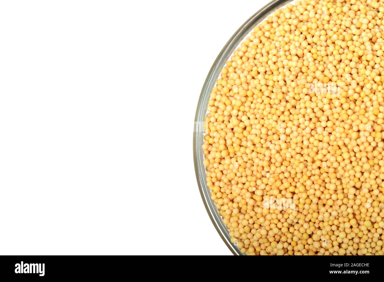 yellow mustard seeds in glass bowl isolated on white background Stock ...