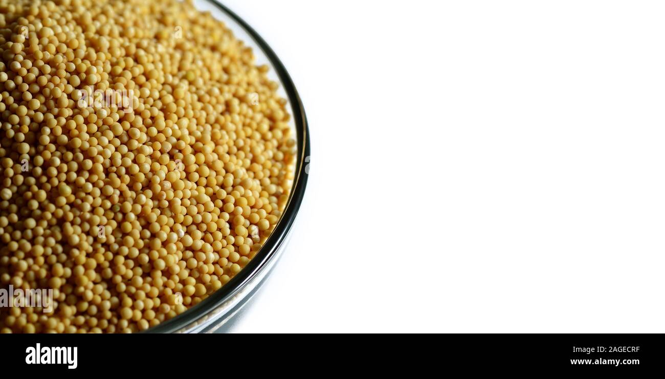 yellow mustard seeds in glass bowl isolated on white background Stock ...