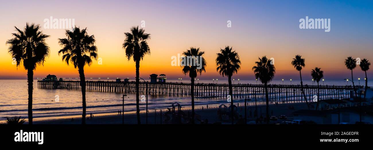 Palm trees at sunset with pier by the beach in Oceanside California ...