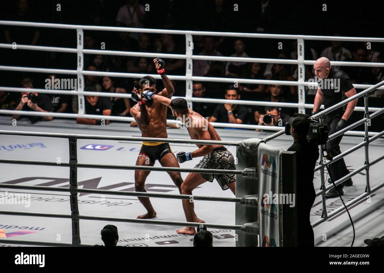 SINGAPORE, SINGAPORE - Nov 22, 2019: Pakistani fighter Furqan Cheema ...