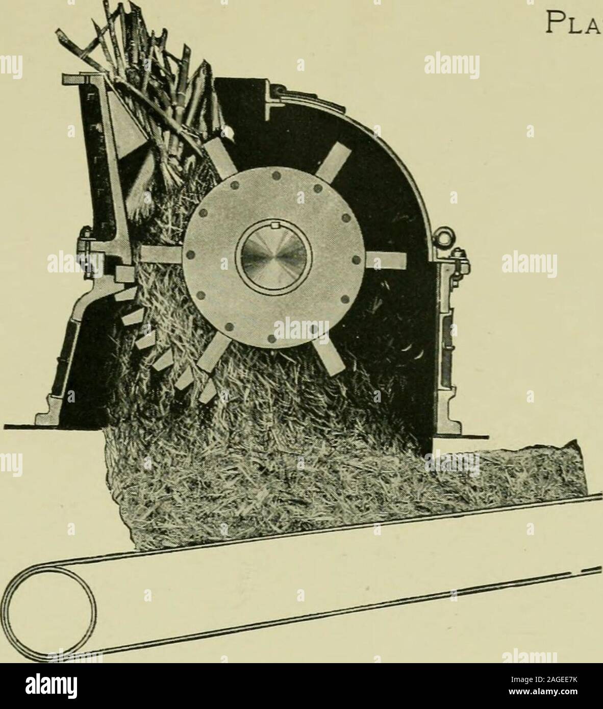 . Cane sugar; a textbook on the agriculture of the sugar cane, the ...