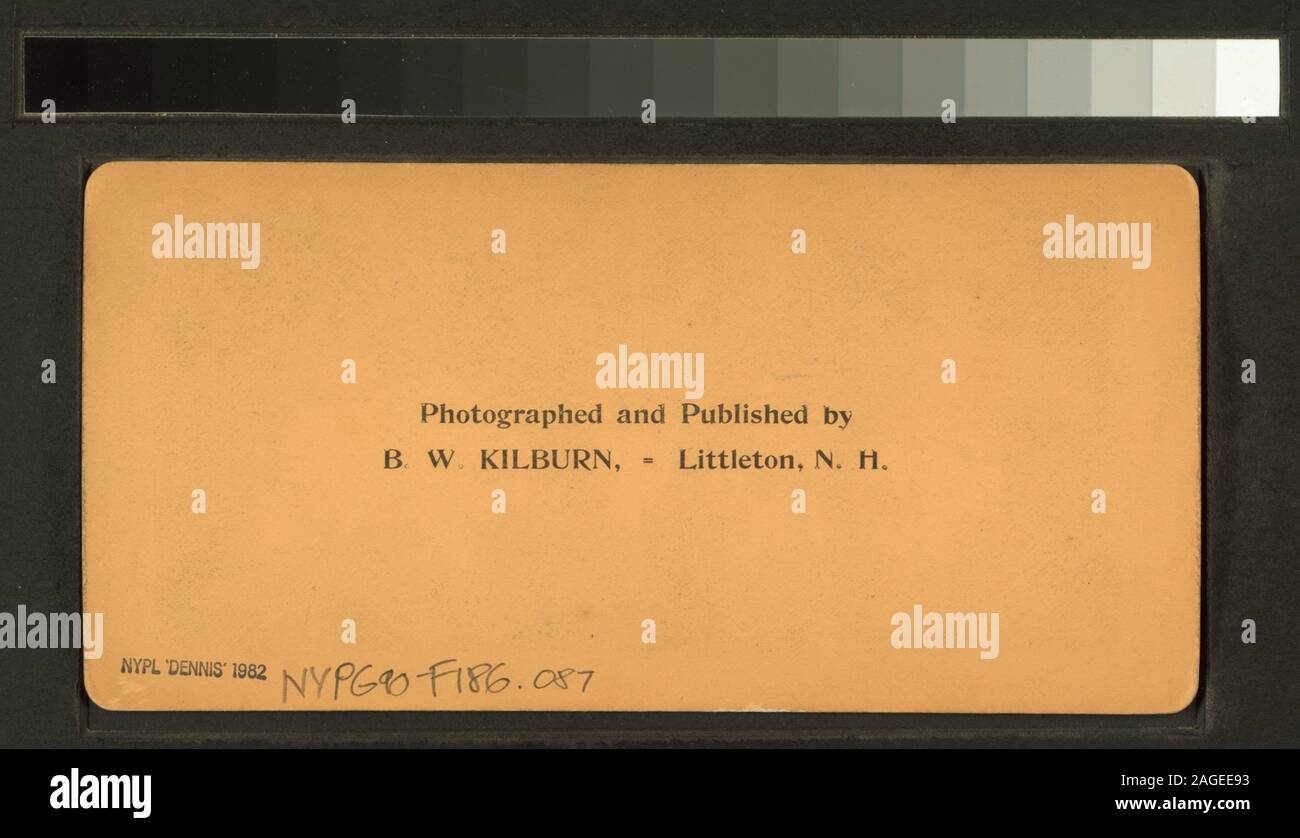 Iowa State Capitol, Iowa State building, Columbian Exposition by B.W ...