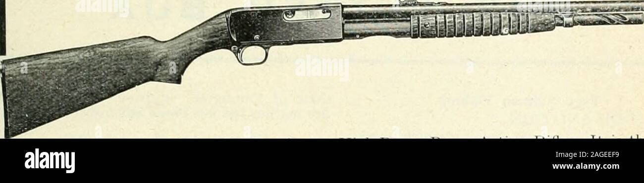 George gunn hi-res stock photography and images - Alamy