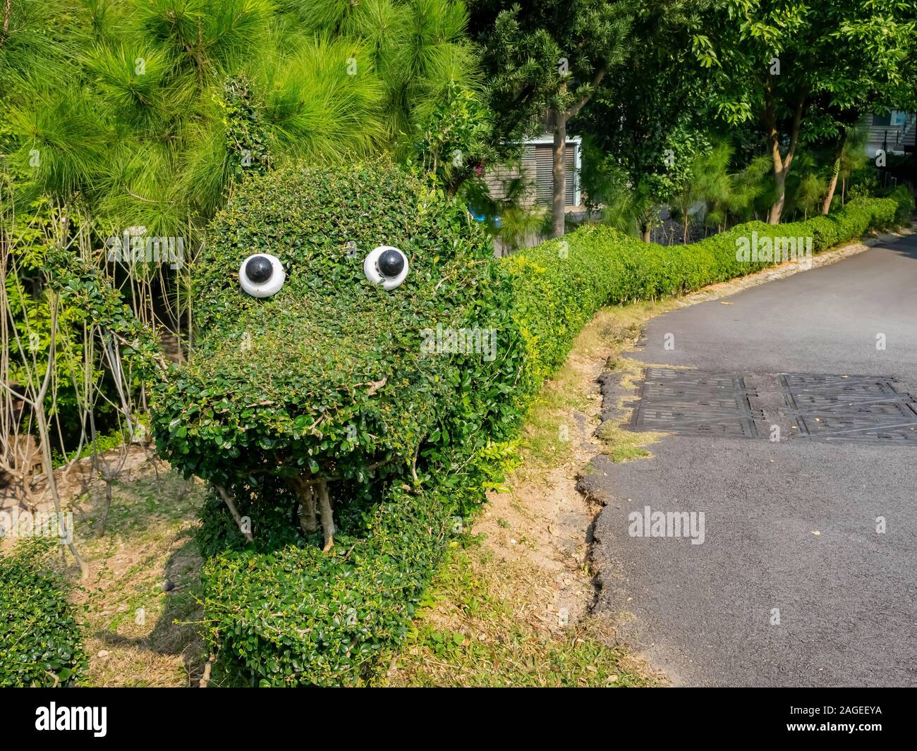 Cute bush shape display in the garden of the Surrounding of Monte Fort ...