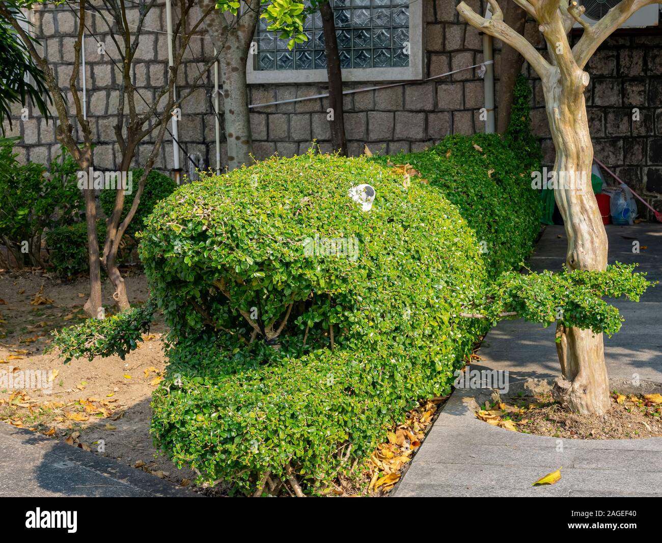 Cute bush shape display in the garden of the Surrounding of Monte Fort ...