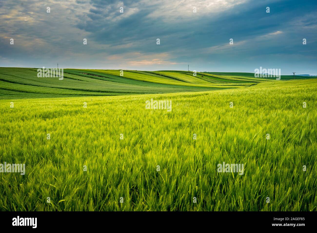 Beautiful green grassy field under the breathtaking sky - great for a ...