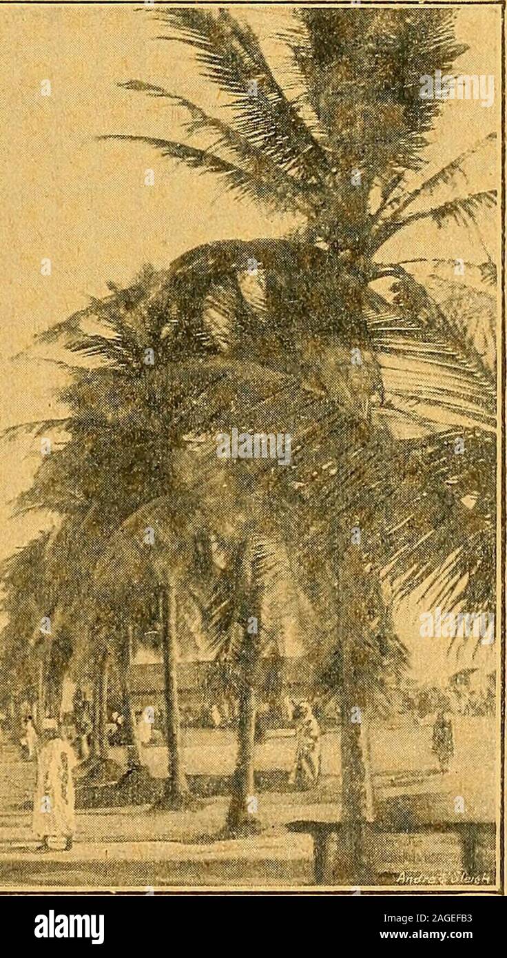 . The story of Africa and its explorers. ST. LOUIS, SEXEGAjMBIA ...