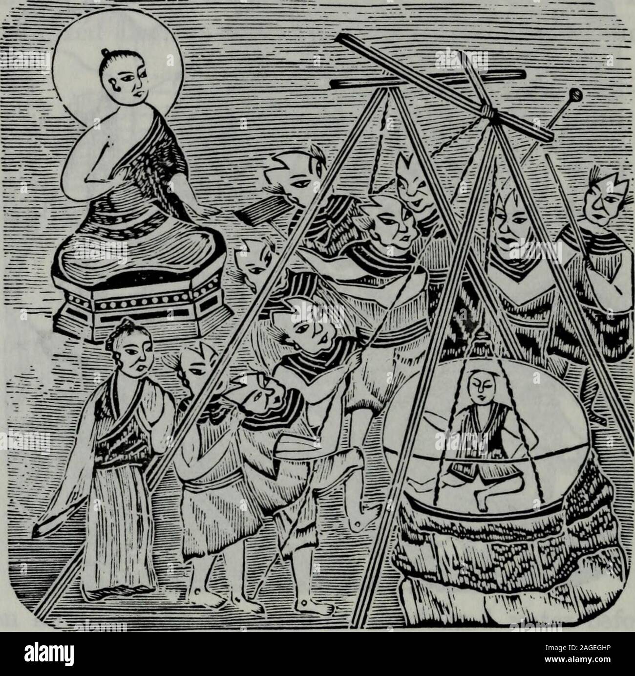 Three donkey heads hi-res stock photography and images - Alamy