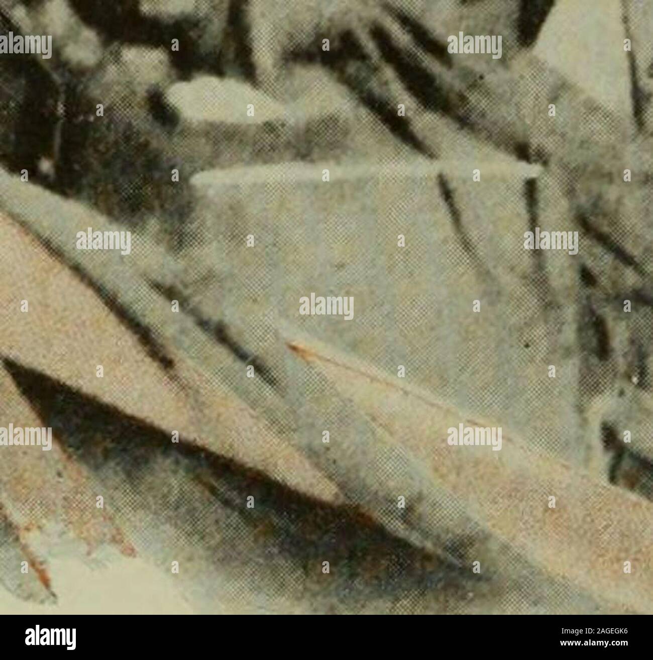 Coalmin hi-res stock photography and images - Alamy