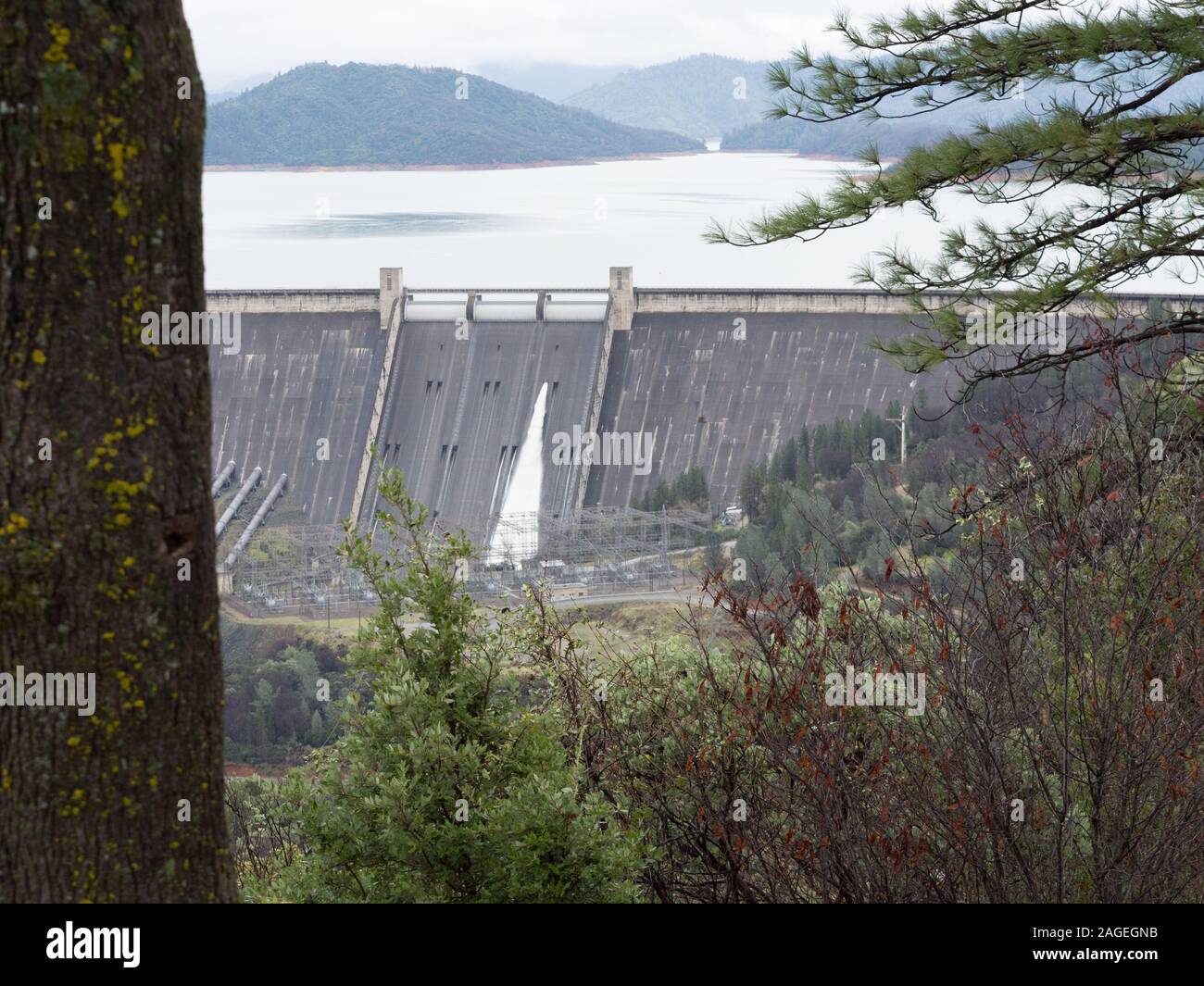 Picture of Shasta Dam surrounded by trees with a lake and mountains on ...