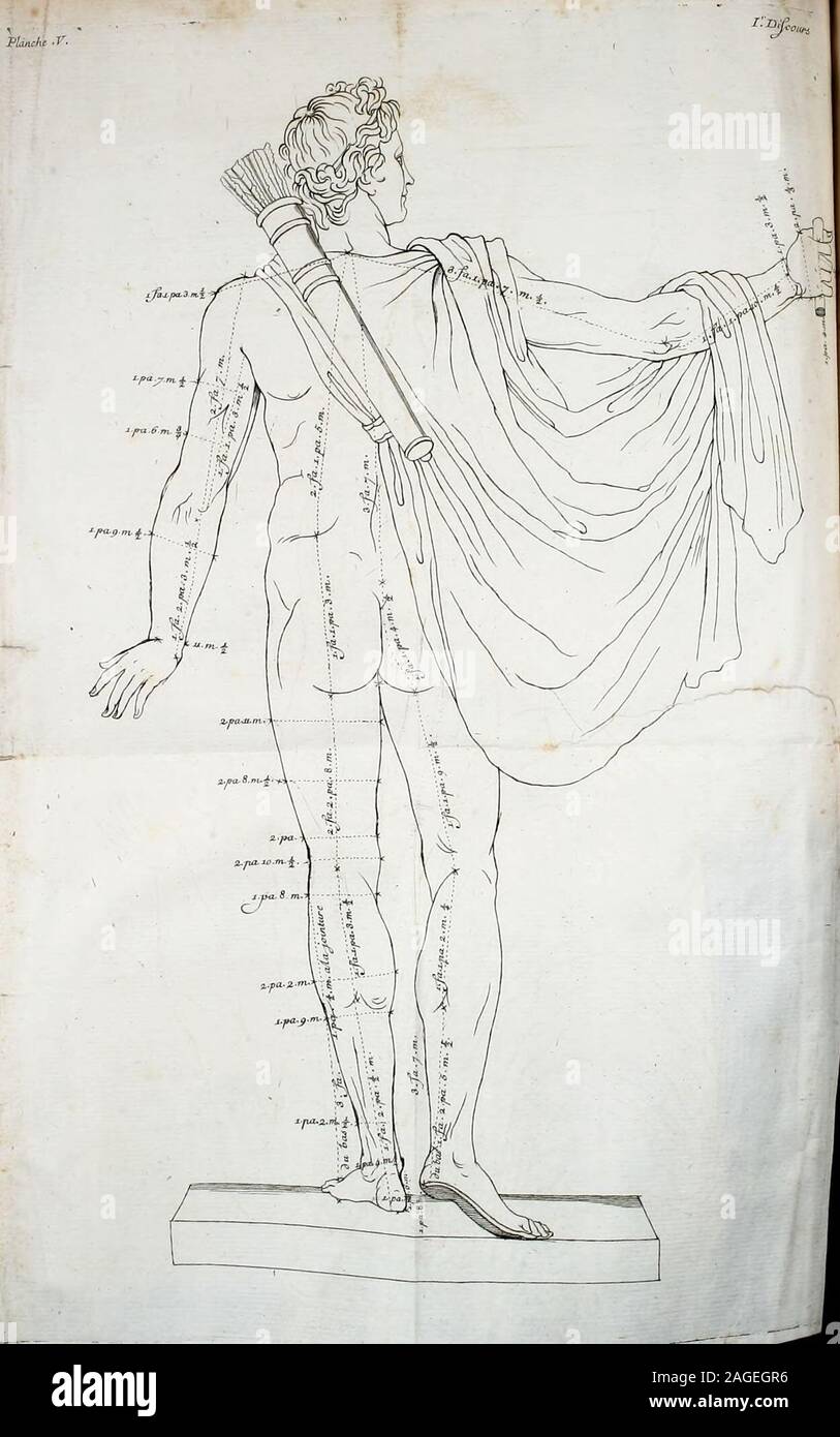 Partie corps humain hi-res stock photography and images - Alamy