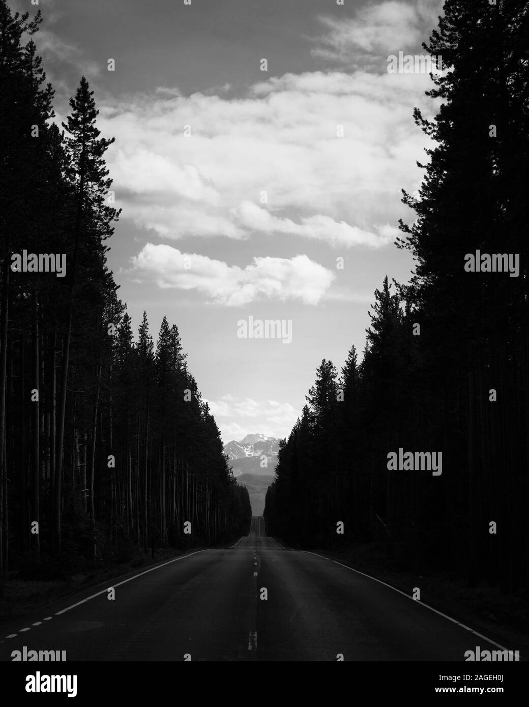 Horizon line trees Black and White Stock Photos & Images - Alamy