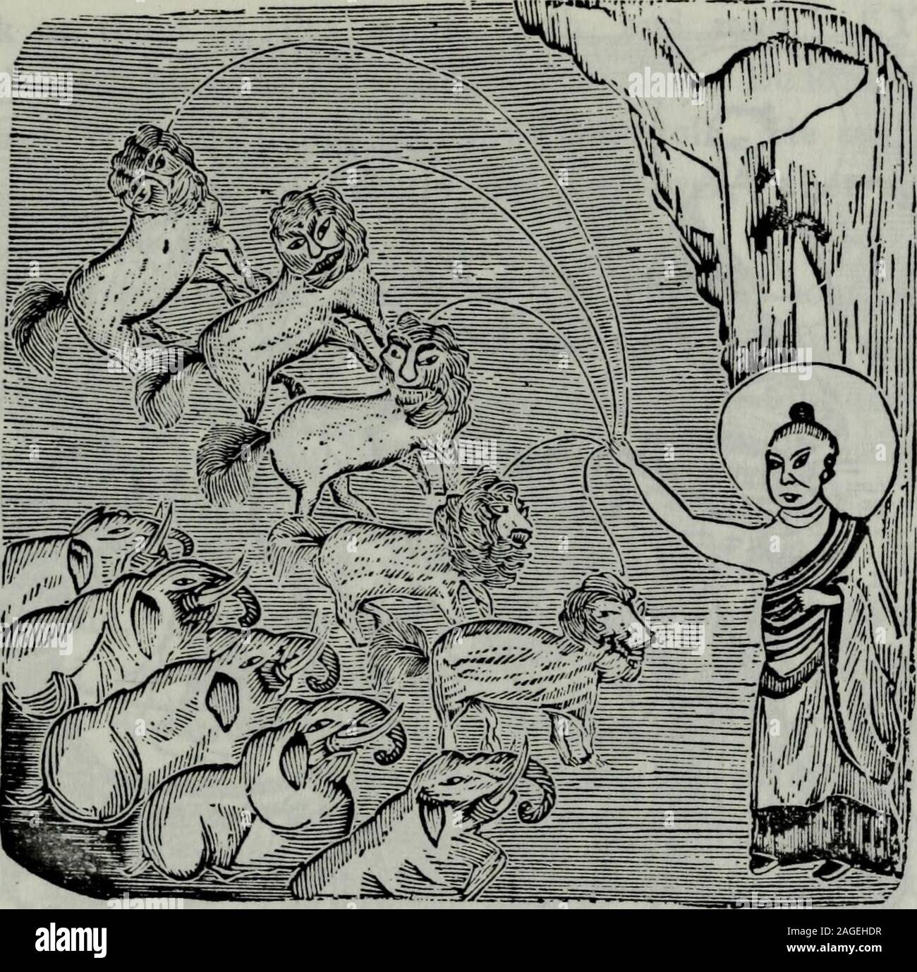 Dragon toes hi-res stock photography and images - Alamy