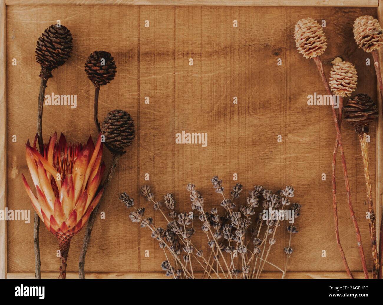 Overhead shot of dry plants on a wooden surface Stock Photo - Alamy