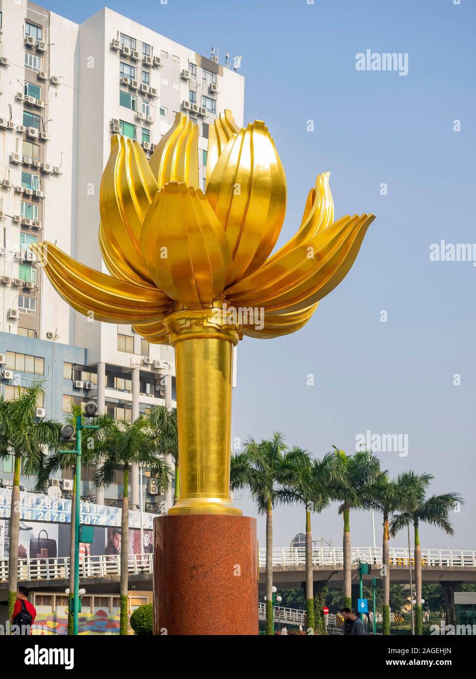Macao lotus hi-res stock photography and images - Alamy