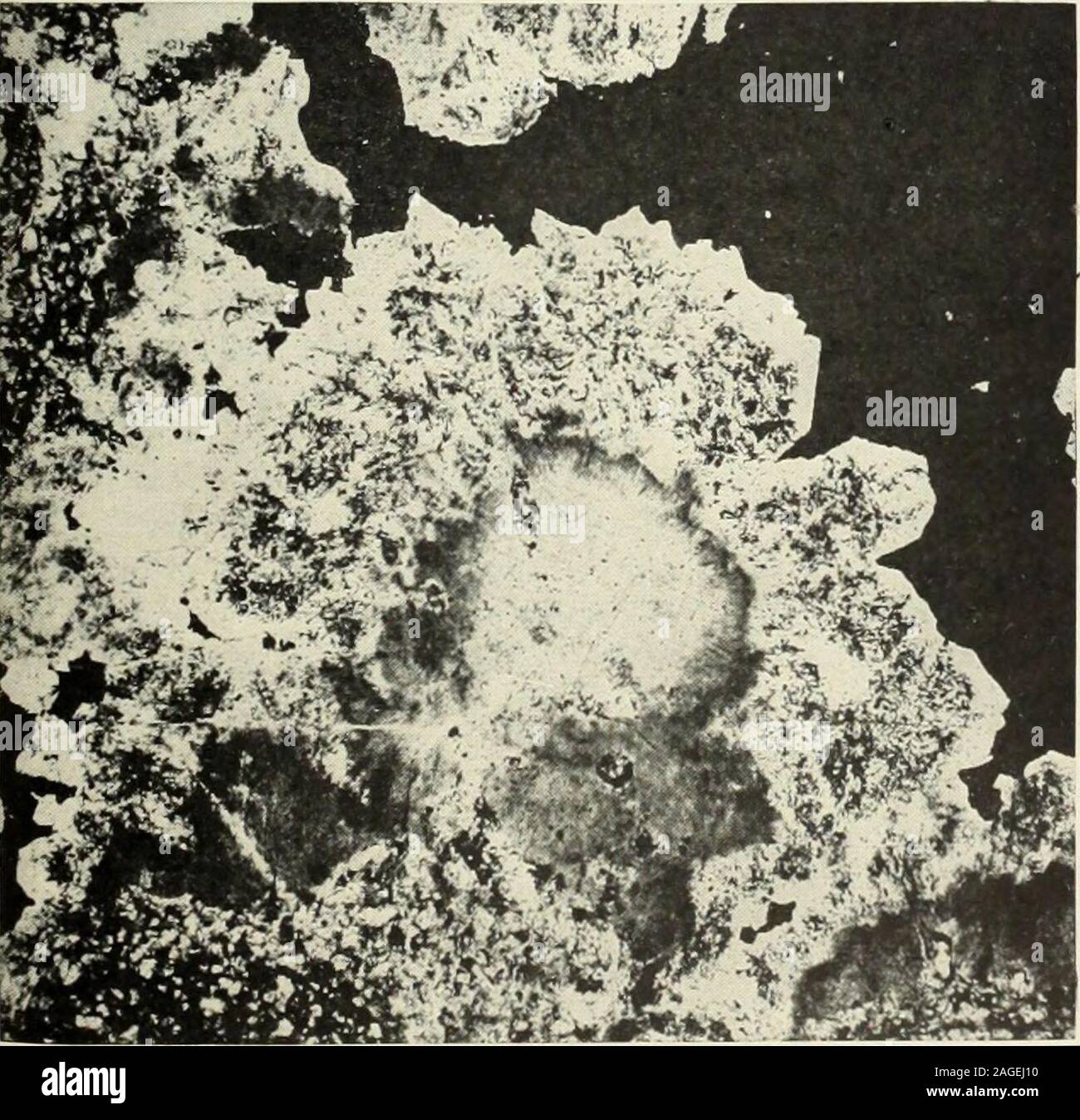 . The ore deposits of Utah. I A. SPECIMEN OF NATIVE GOLD IN ...