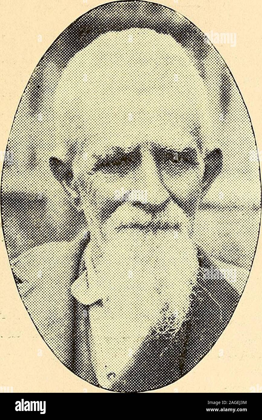 Blacklog hi-res stock photography and images - Alamy