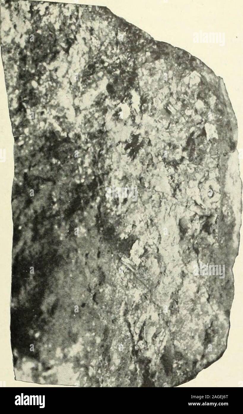 Chalcedonic silica hi-res stock photography and images - Alamy