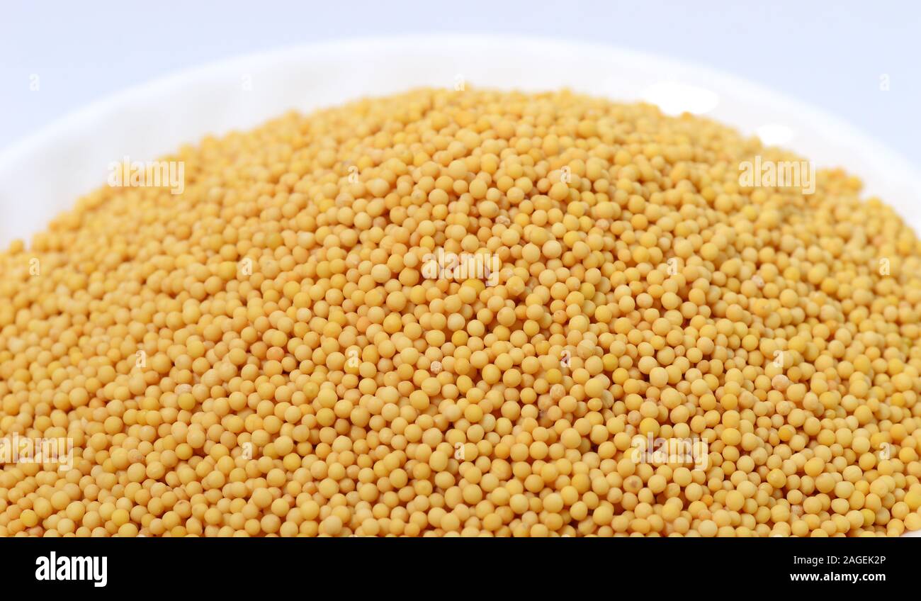 yellow mustard seeds in plate isolated on white background Stock Photo ...