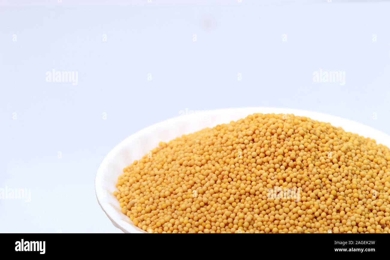 yellow mustard seeds in plate isolated on white background Stock Photo ...
