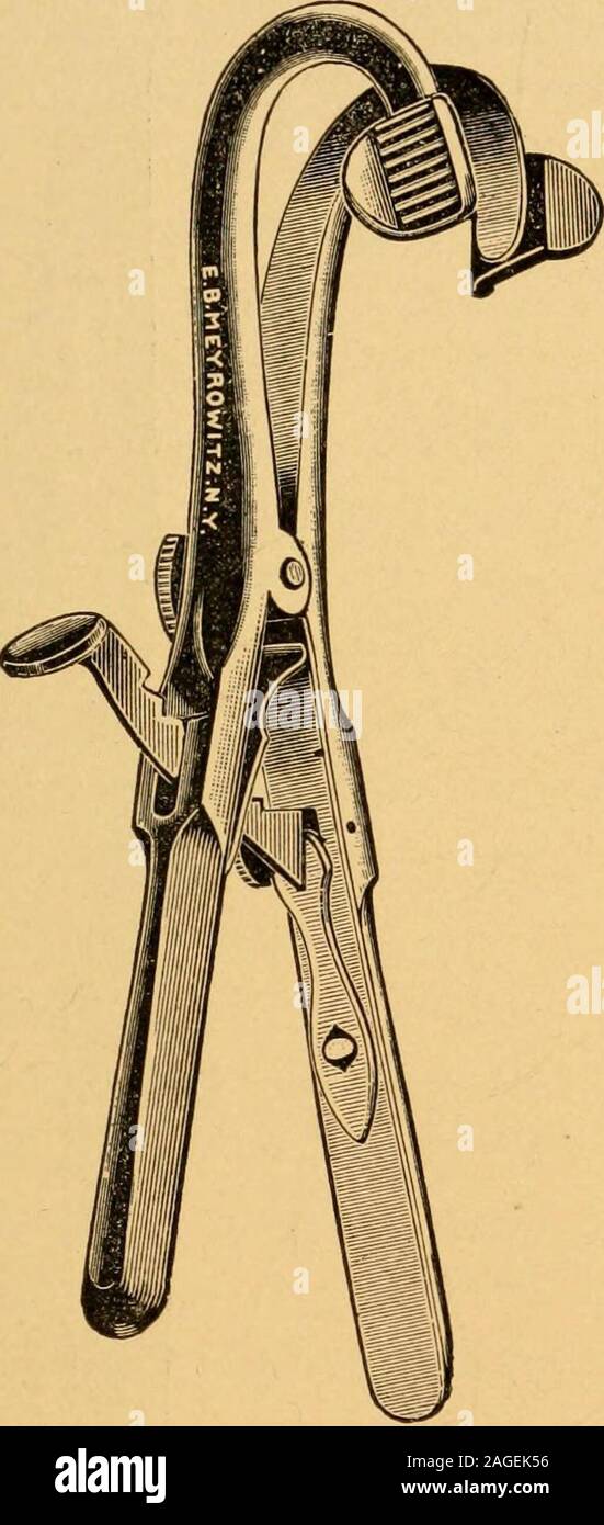 . A manual of diseases of the nose and throat. Intubator with a tube in ...