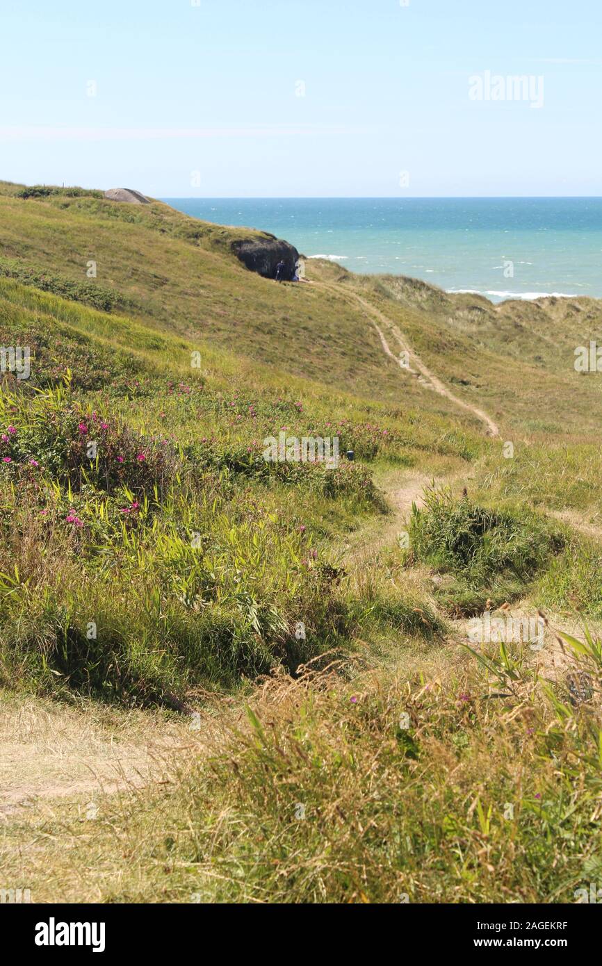 Vertical shot of a beautiful green coastal path with a clear blue ocean ...