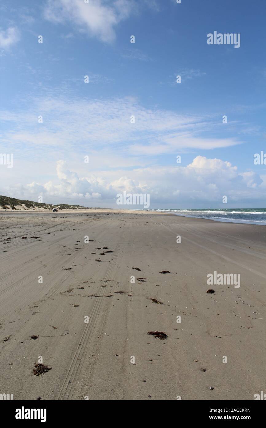Vertical shot of a peaceful muddy beach path with a light blue sky in ...