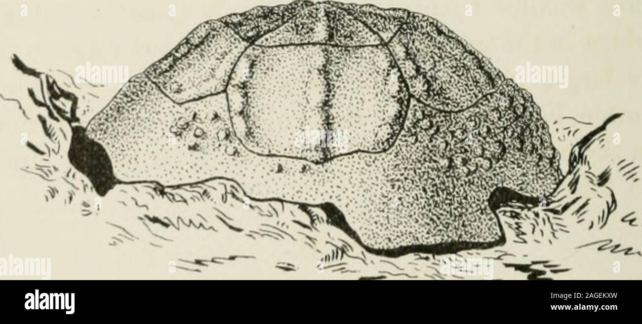 100 fathoms hi-res stock photography and images - Alamy