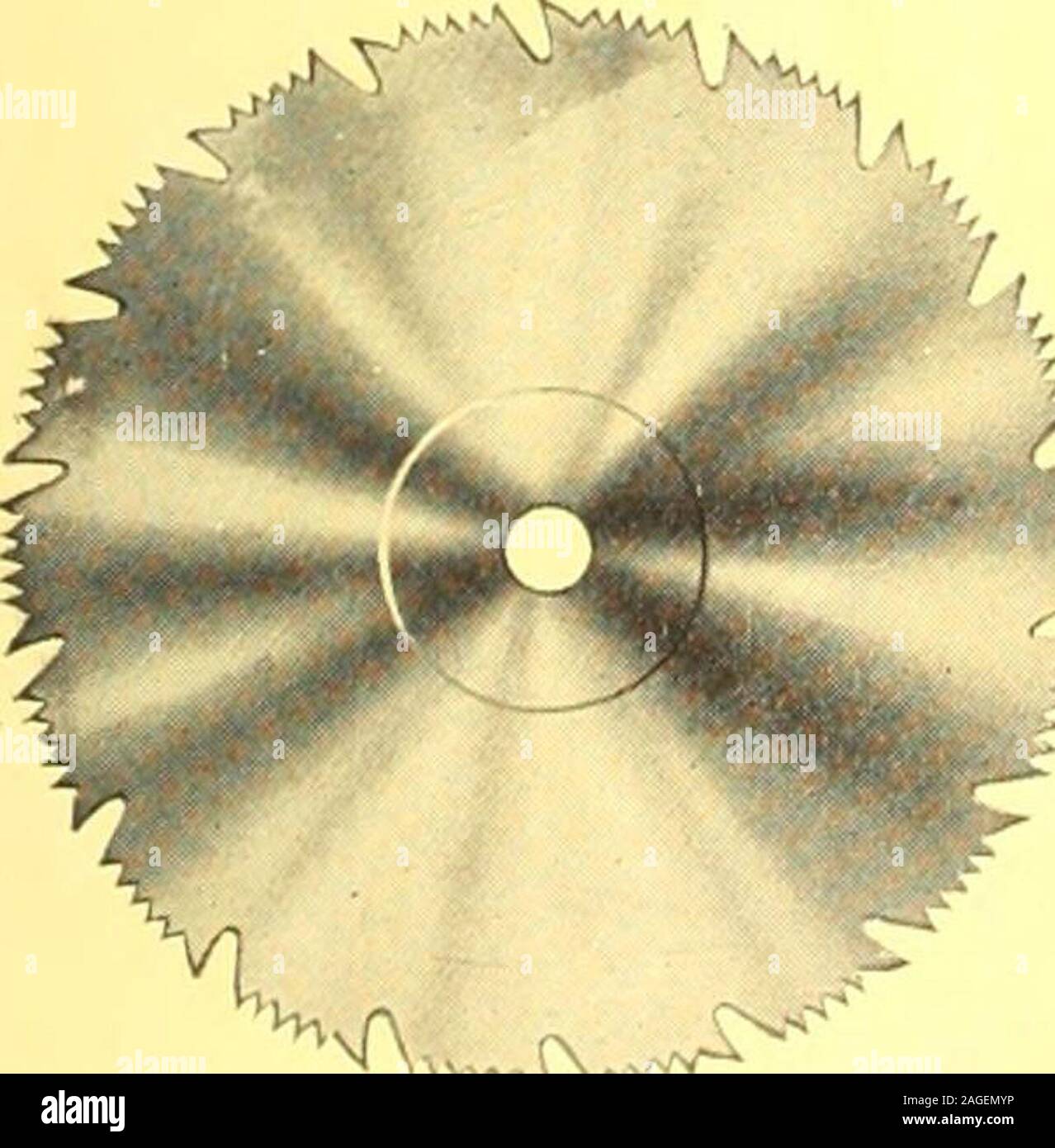 . Canadian wood products industries. ATKINS STERLING QUALITY SAWS and ...