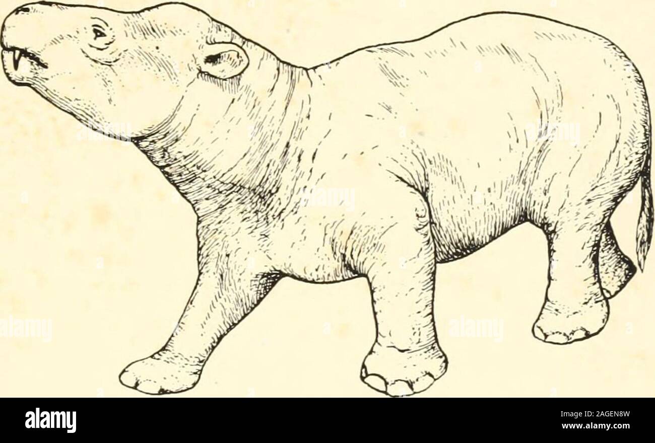 . The evolution of the earth and its inhabitants; a series delivered ...