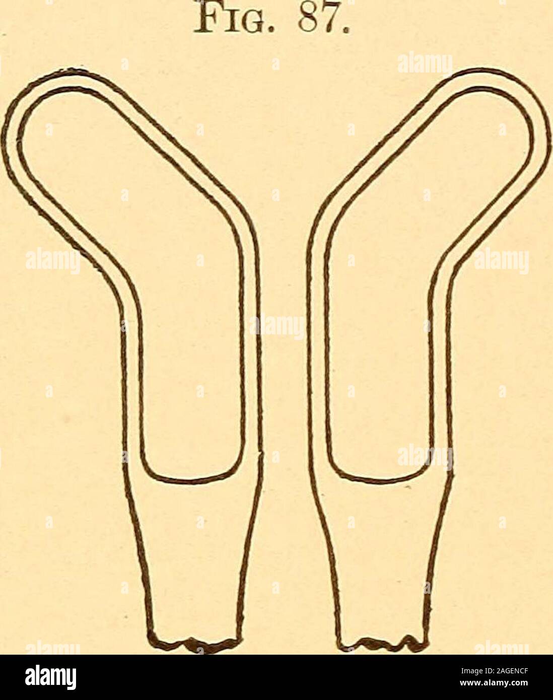 Tonsillar hi-res stock photography and images - Alamy