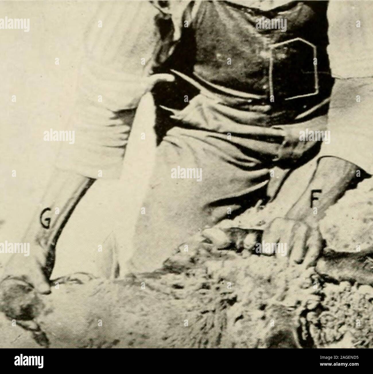 . Animal castration : a book for the use of students and practitioners ...