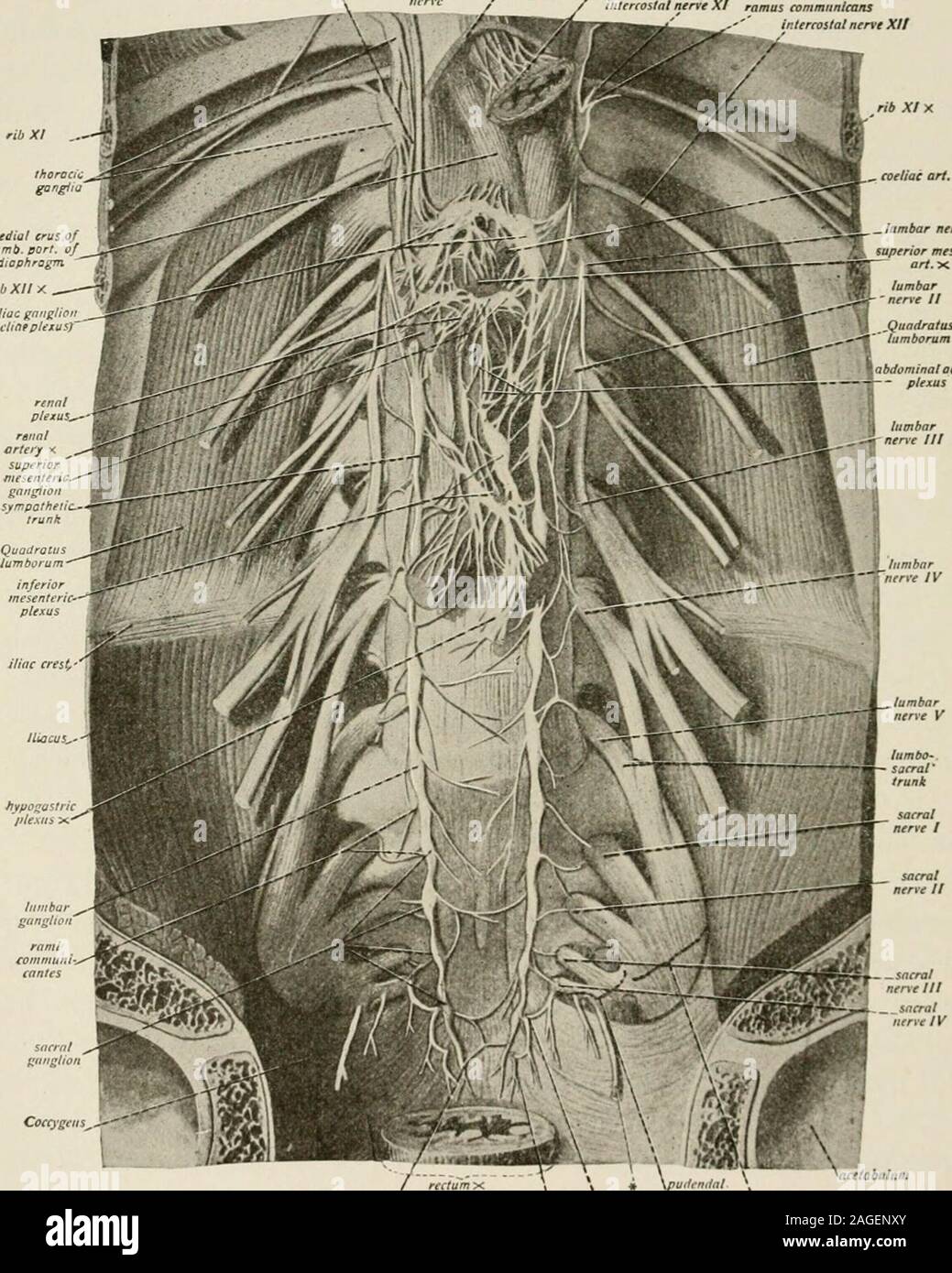 . Local and regional anesthesia; with chapters on spinal, epidural ...
