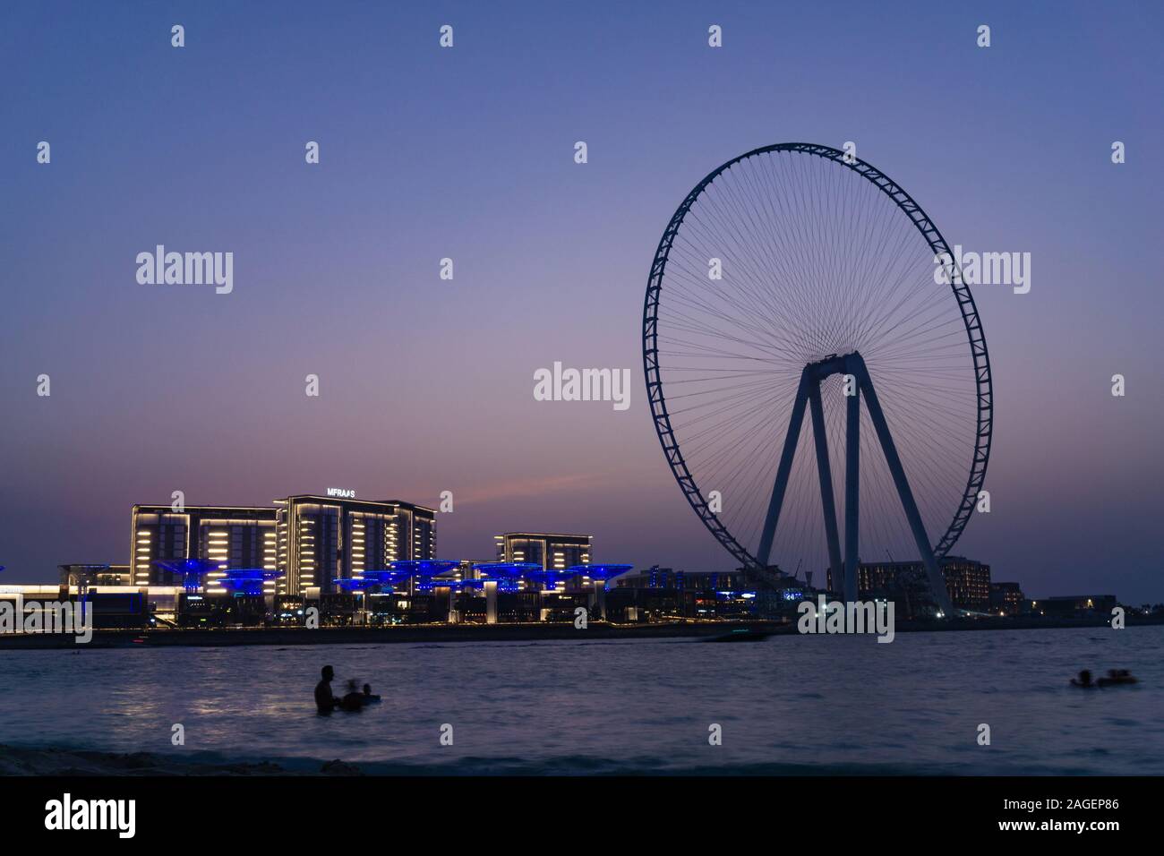 Night scene, the Eye of Dubai, Dubai, UAE Stock Photo - Alamy