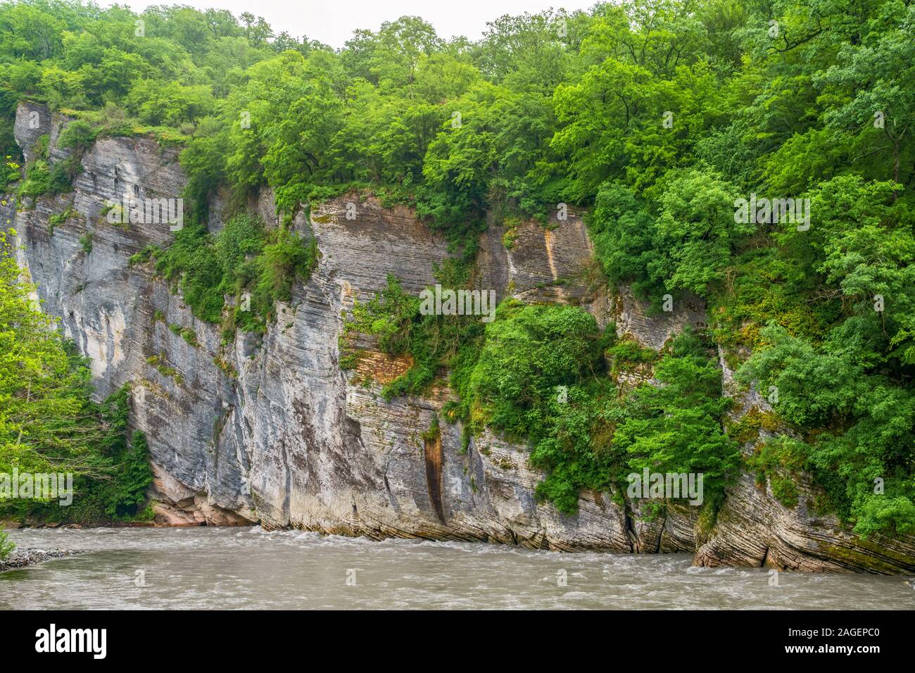 A steep rock cliff with a green forest over a muddy mountain river on a ...