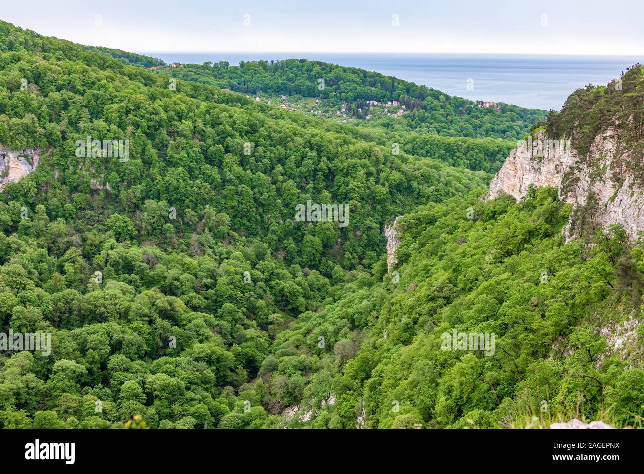 Mountain with a steep rocky slope and valley with thick green forest ...