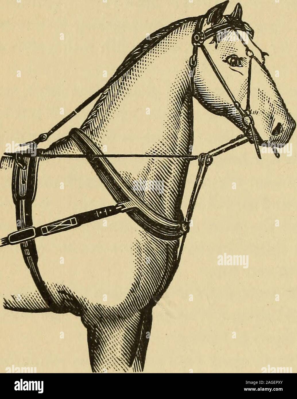 Five of staves hi-res stock photography and images - Alamy