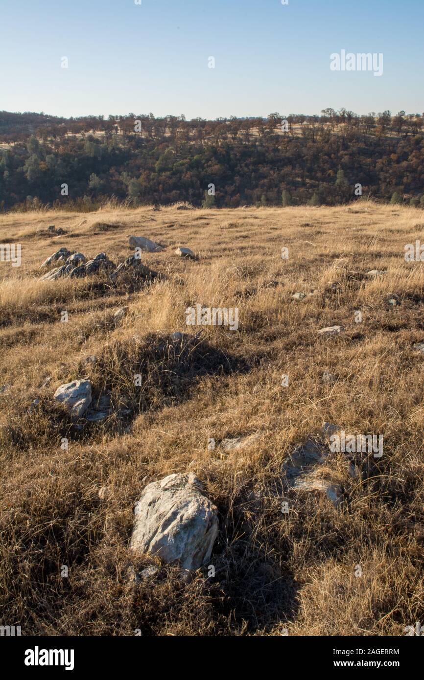 Rocks outcroppings in dry grass landscape El Dorado Hills, California ...
