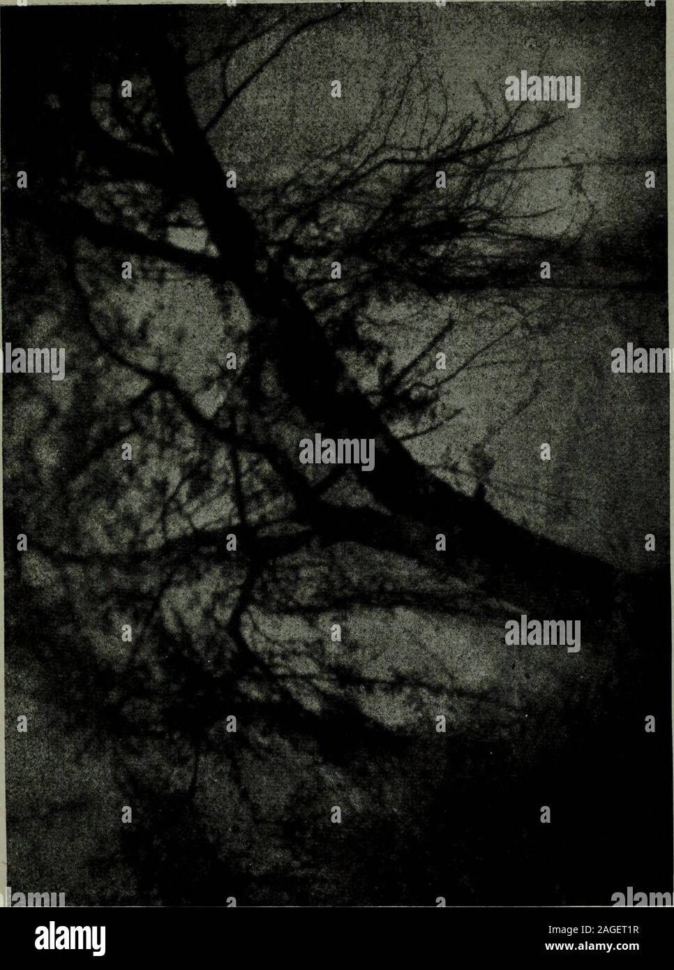 Dram image hi-res stock photography and images - Alamy