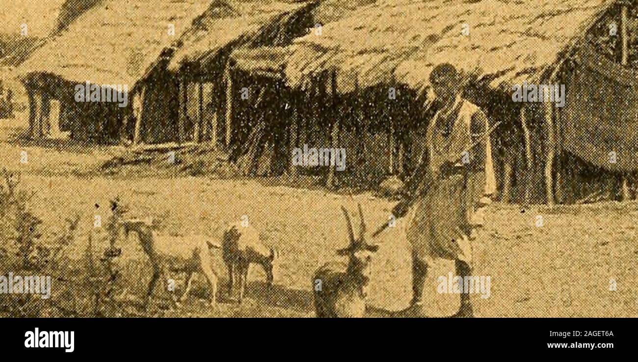 . The story of Africa and its explorers Stock Photo - Alamy