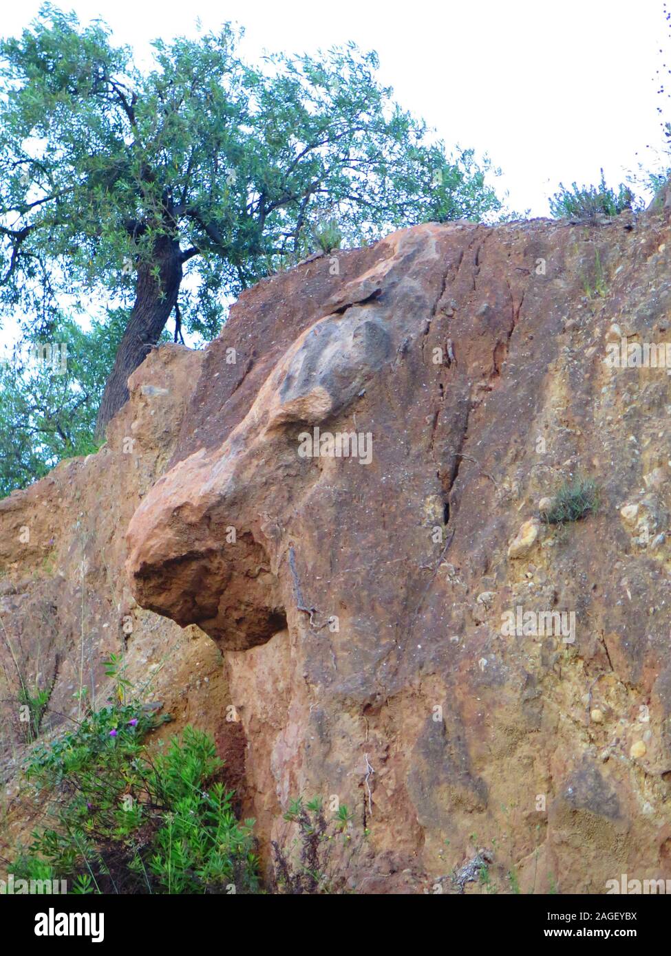 Rock face with big nose on roadside embankment near Andalusian Village ...